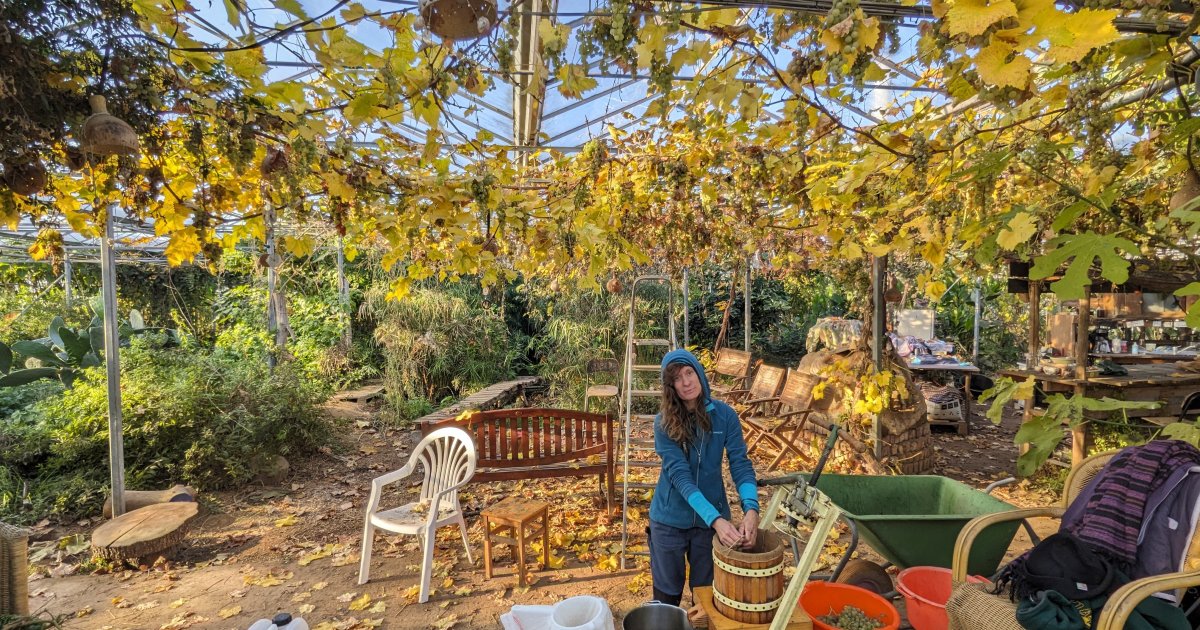 De Warme Meente | Velt